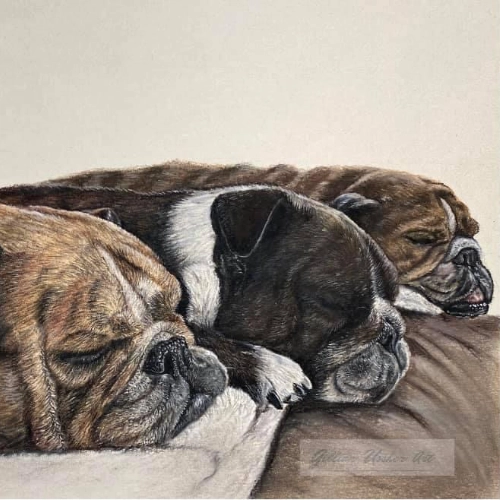 R Weeks's Profile | Dreamers Portal